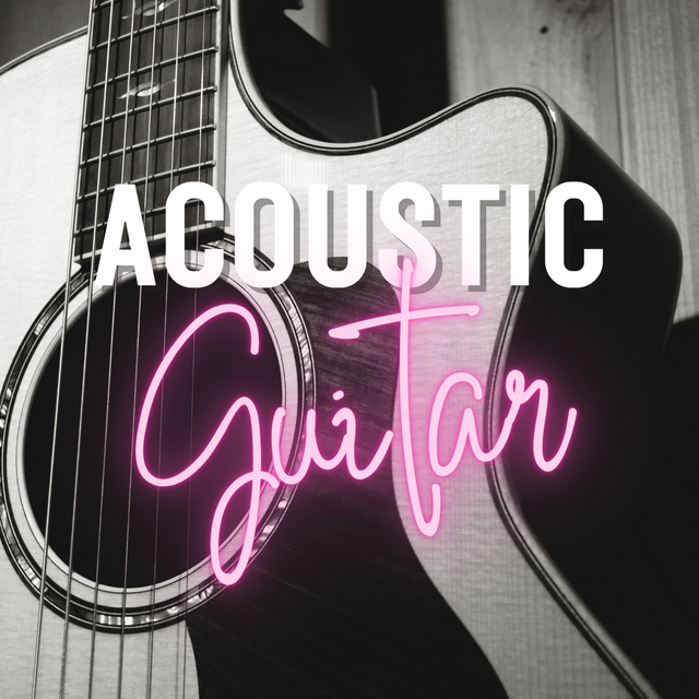 BMS Private Lessons — Buzz Music